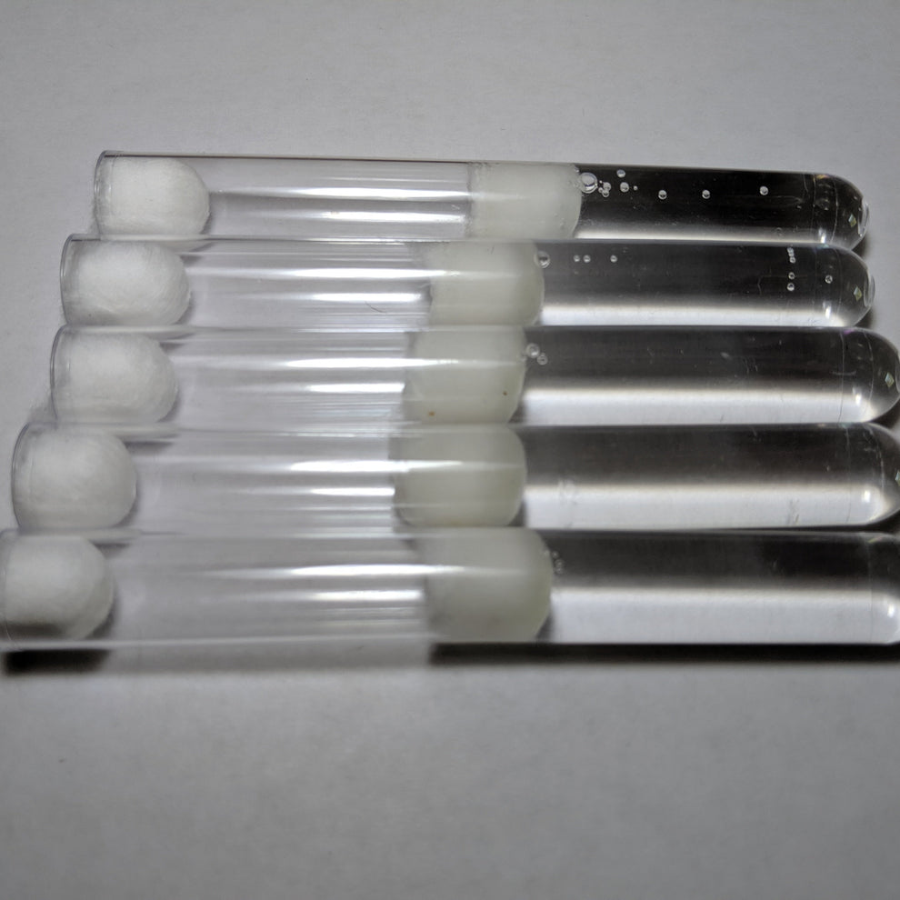 5 Medicated Test Tubes – Washington Ants